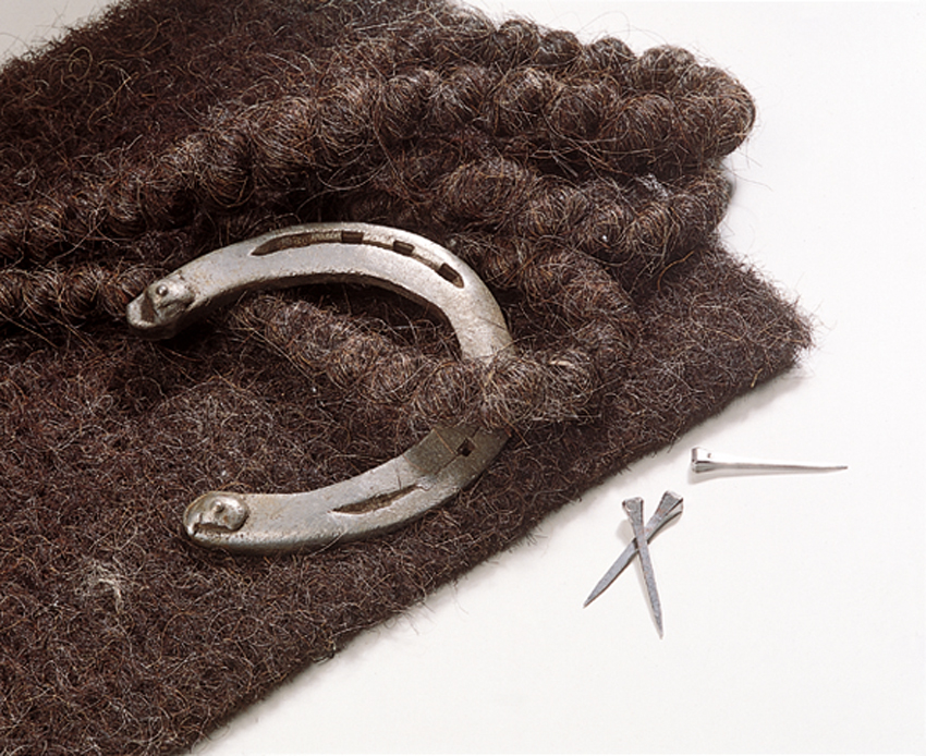 crin de cheval | le blog de cardelaine.fr